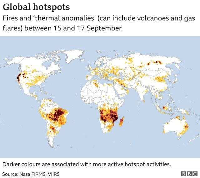Kebakaran hutan dan lahan di berbagai negara tahun 2020 diprediksi jadi ...