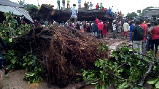 Oyo, igi odan kàyééfì: Kò yẹ kí a bọ igi Ọdán yìí nítori pé ẹ̀rọ agégi ...