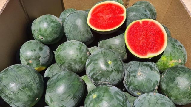 Faa'iidooyinka qaraha uu u leeyahay qofka sooman - BBC News Somali