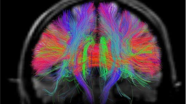 Seeliin sammuu laaboraatorii keessatti tolchame geemii viidiyoo ...