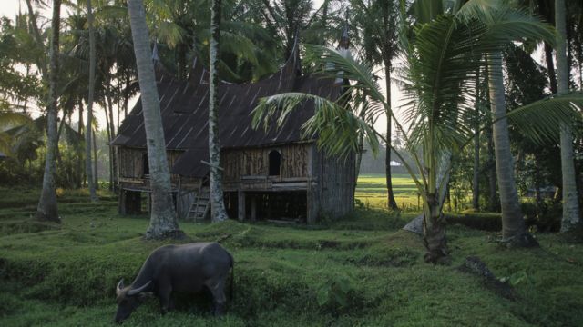 Rendang, tradisi merantau orang Minang dan sejarahnya yang rumit - BBC ...