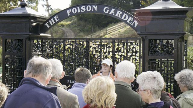 The Poison Garden: Taman paling mematikan di Inggris - BBC News Indonesia
