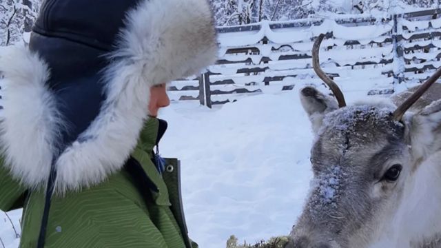Skandinavija, porodica i običaji: Tajna roditeljstva za preživljavanje ...
