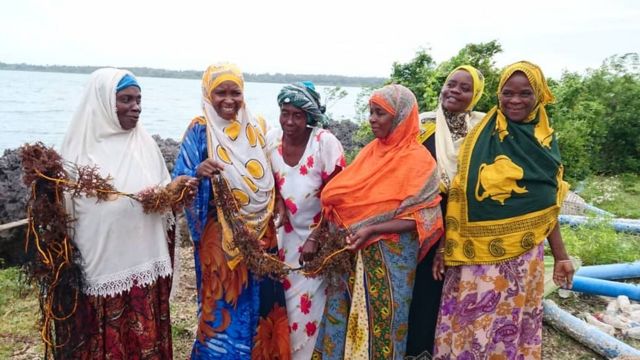 Mwani unavyowapa furaha wanawake Zanzibar, na kukabili mabadiliko ya ...