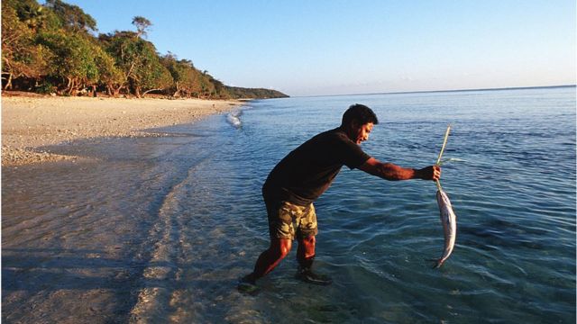 Timor Leste bangkitkan hukum adat untuk melestarikan lingkungan usai ...