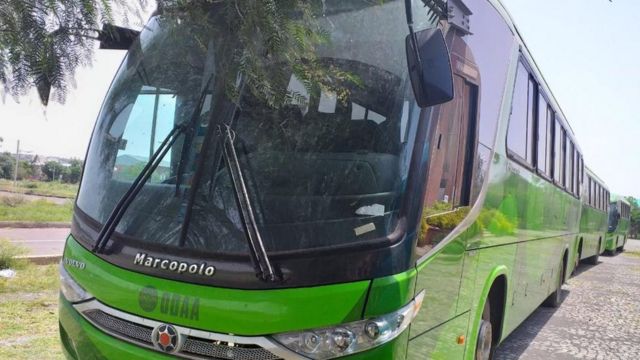 Odaa Bus Transport, Oromia Region