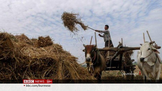 စစ်အာဏာသိမ်း ကာလ မူးယစ်ဆေးဝါး ရောင်းဝယ် သုံးစွဲမှုများလာ Bbc News မြန်မာ