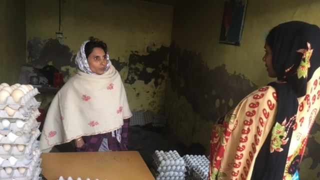 म्हणून चिकनपेक्षा अंडी झाली महाग - BBC News मराठी