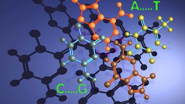 Srbija i genetika: Postoji li srpski genom i mogu li genomi da imaju ...