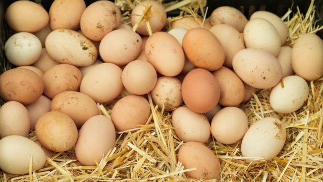 Bara haaraa Itoophiyaa 2015 suuraaleedha - BBC News Afaan Oromoo