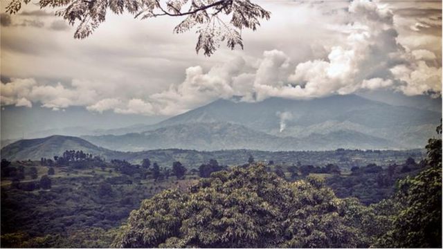 Monts Rwenzori : les surréalistes "montagnes de la Lune" d'Afrique ...