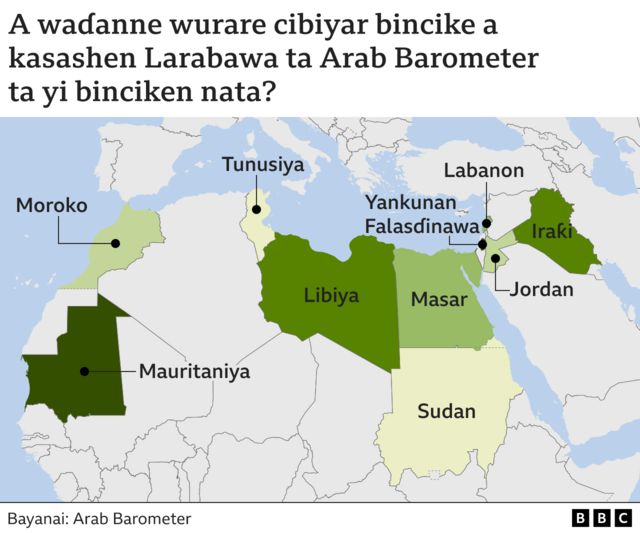 Larabawa na ganin dimokuradiyya na karya musu tattalin arziki - BBC ...