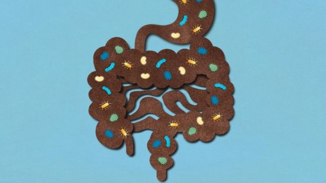 Wanasayansi kufunguliwa benki ya Dunia ya kinyesi cha binadamu nchini ...