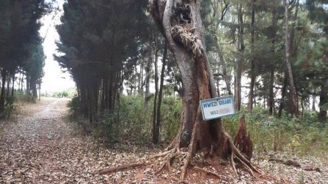 Mucece, Nyavyamo, Rubumba na Kivyeyi… iyimikwa ry'umwami mu Burundi ...