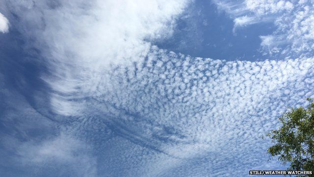 Gallery: Patterned southern skies - BBC Weather