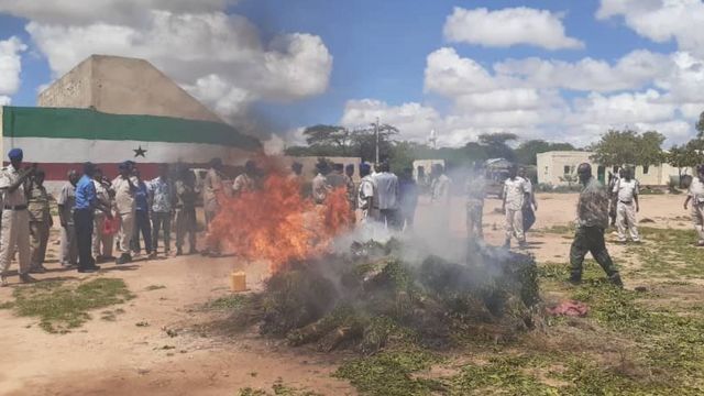 Jaadka "caruur baan ka koriyaa waxaana sugayaa xilliga dib loo furo ...