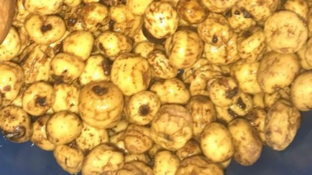 Breastfeeding: Lee nrị Igbo ga-eme ka ara nwaanyị mụrụ nwa gbaa mmiri ...