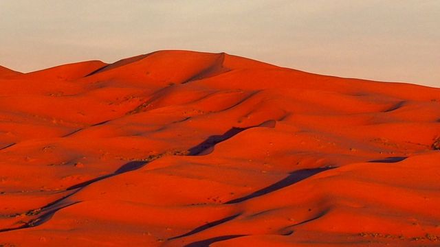 Sahara səhrasının əsrarəngiz həyatı - şəkillərdə - BBC News Azərbaycanca