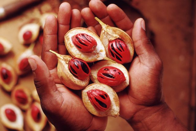 Maxaad taqaanaa saddexda cunto ee kuu horseedi karto xanuun ama ...