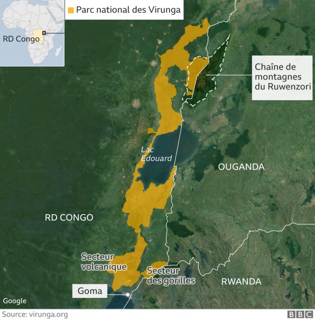 Parc national des Virunga en RD Congo : le dangereux travail de ...
