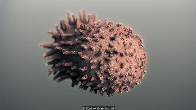 As teorias para o surgimento das primeiras células - e da vida na Terra ...