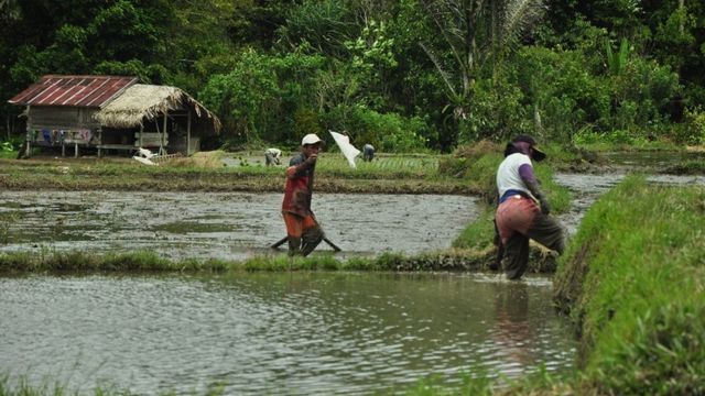 MIT: Kisah Desa Lemban Tongoa yang terusik aksi Mujahidin Indonesia ...