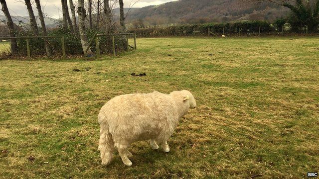 Weather World goes to Wales - BBC Weather
