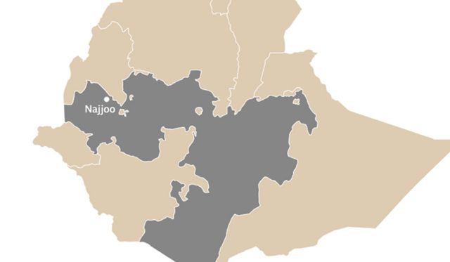 Lammiilee biyyaa alaa dabalatee namoonni shan Aanaa Najjootti ...