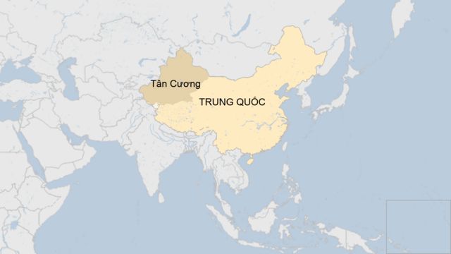 Bông vải Tân Cương 'nhuốm màu' lao động cưỡng bức - BBC News Tiếng Việt