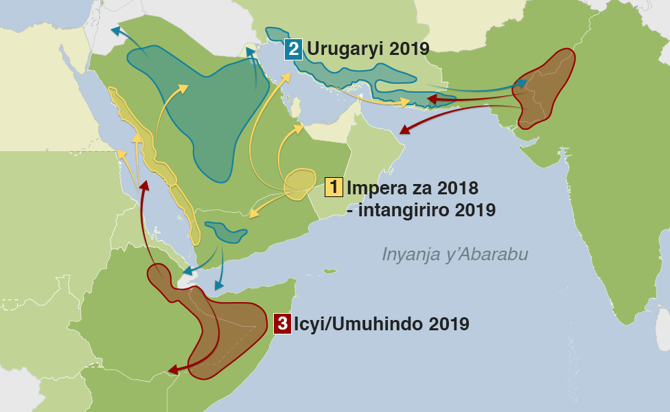Inzige zateye: Aho ziva, ibyo zangiza, uko zirwanywa, amaherezo...ibyo ...