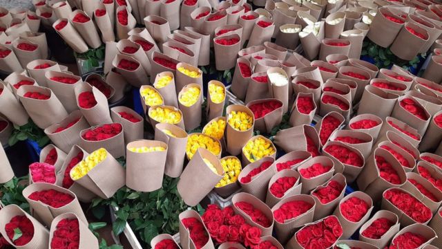 Dhaabbileen Itoophiyaa abaaboo alatti ergan weerarri Covid- 19 nu ...