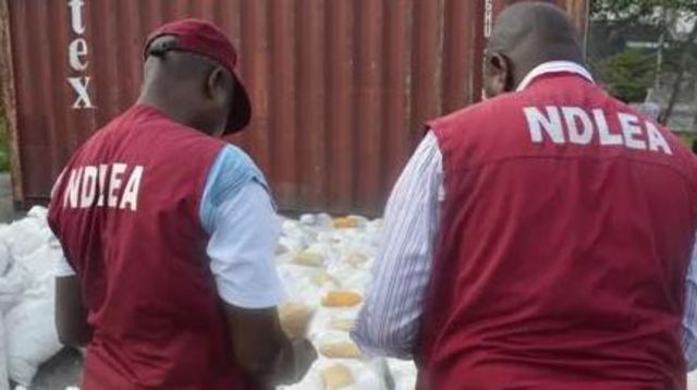 NDLEA: Àdó ikú àtàwọn ohun ìjà olóró lá bá lọ́wọ́ àwọn agbésùnmọ̀mí náà ...