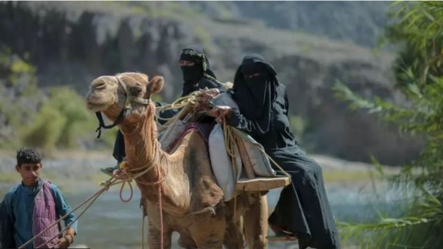 Konflik Yaman: Perempuan Yaman yang menunggangi unta melewati jalur ...