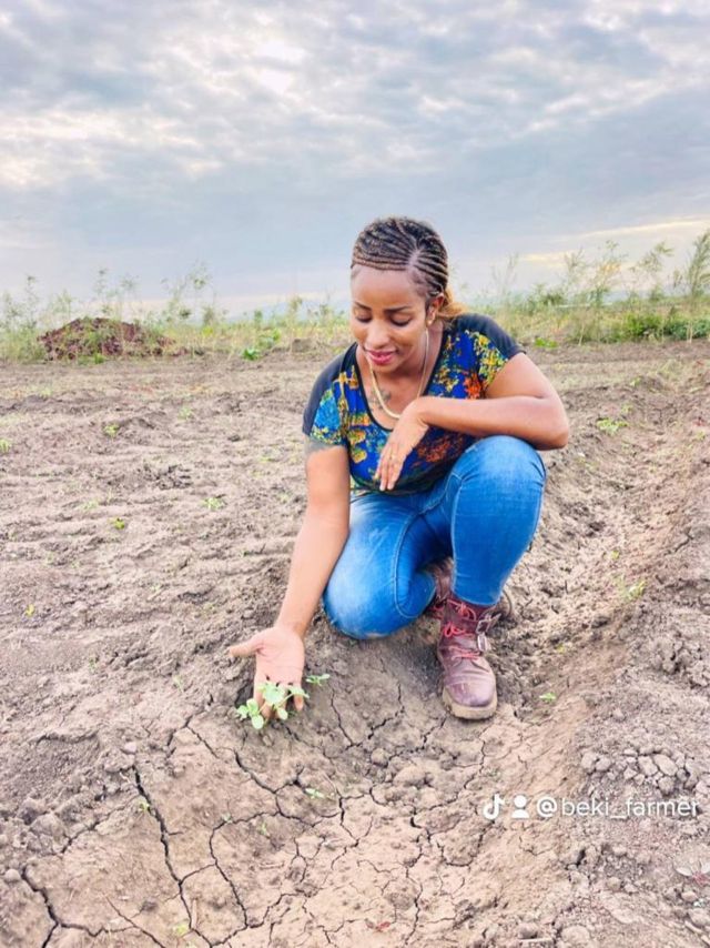 ግብርና፡ ገበሬ ለመሆን ከአየርላንድ ወደ ኢትዮጵያ የተመለሰችው በረከት ወርቁ - BBC News አማርኛ