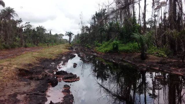 Oil spill in Rivers: Over 50 incident happun for di state in two months ...