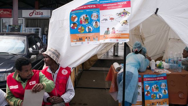 Madagascar: Plague wey carry cold don kill people - BBC News Pidgin