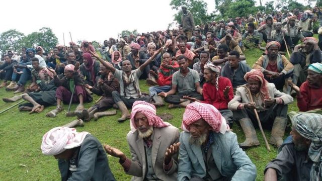 Godina Jimmaa Saxxammaatti lagni guutee dambali'uun lubbuu namootaa ...