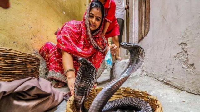 Vitu 9 usivyovifahamu kuhusu nyoka - BBC News Swahili