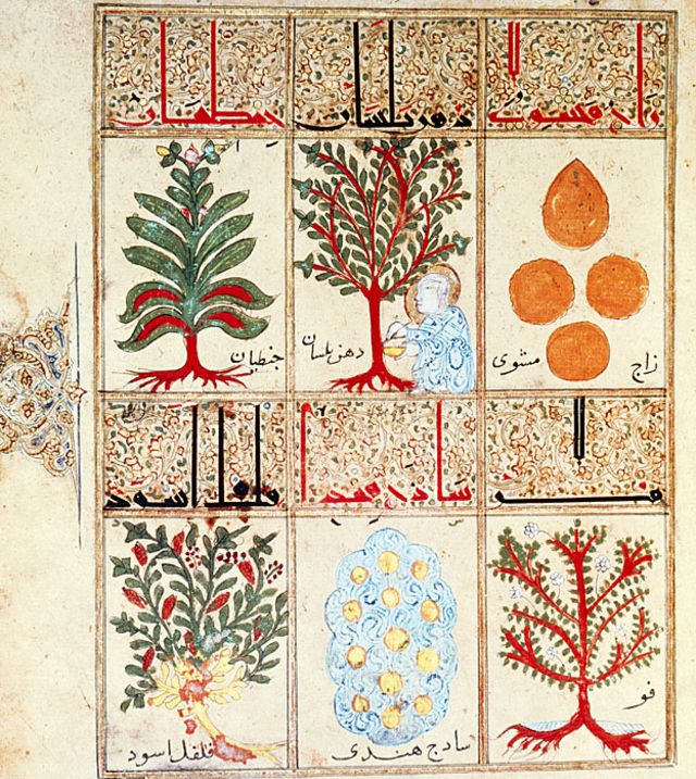 Triaca, la fabulosa medicina con virtudes mágicas recetada durante 2. ...