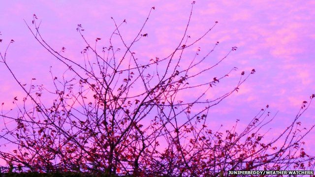 Pretty pink sunrise skies - BBC Weather