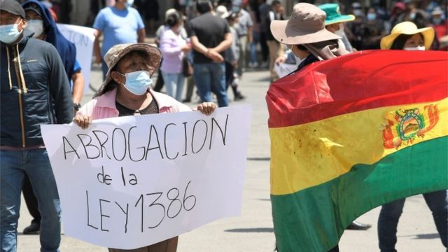 Protestas en Bolivia: qué es la "ley madre" que ha desatado marchas ...