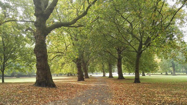 The changing colours of autumn - BBC Weather