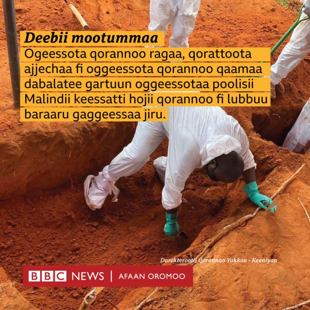 Waa'ee barsiisa amantii 'hamaa' Keeniyaatti lubbuu namoota 90 olii galaafatee maal beekna? - BBC ...
