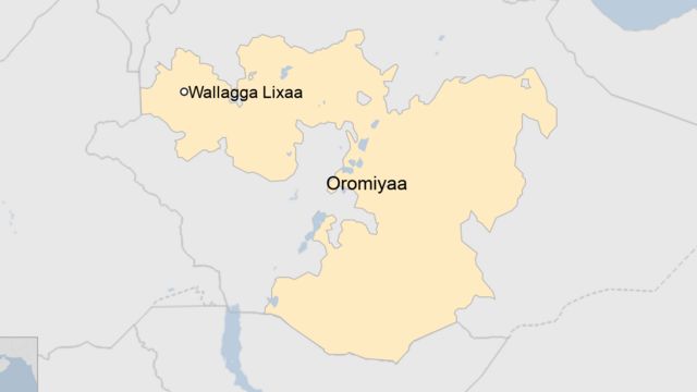 W﻿allagga Lixaa magaala Biilaatti haleellaa 'diroonitiin' lammiilee ...