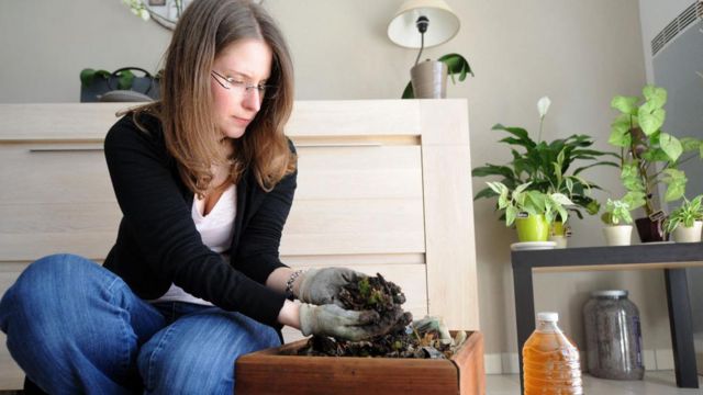 Xaa'oo uumamaa baasii qusatuu fi biyyee dhukkubsate fayyisu attamiin ...