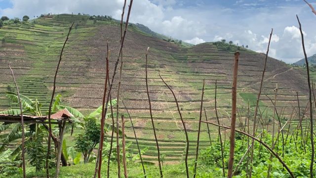 Rwanda: Imisozi n’imirima yagendaga bareba, 250 barapfa buri mwaka ...