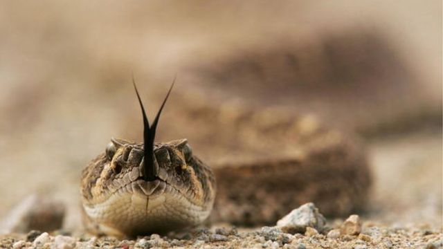 Dylan McWilliams, el joven de Estados Unidos que sobrevivió al ataque ...