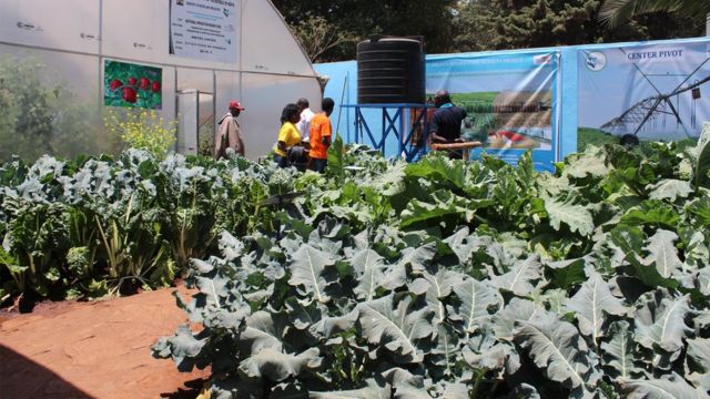 Kwa picha: Maonyesho ya kilimo Nairobi Kenya - BBC News Swahili