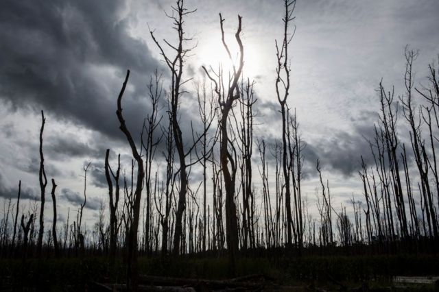 Konflik agraria: Sengketa tambang emas Pohuwato yang berujung pembakaran kantor bupati - ‘Puncak ...