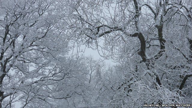 Gallery: Northern snow - BBC Weather
